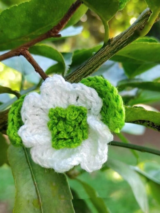 Amigurumi Crochet Archives - Page 14 of 26 - Yours Patterns